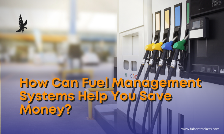 GPS Vehicle Tracking System & Fleet Management Solutions | UAE